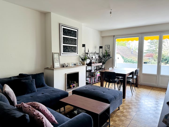 Amazing 2/3 Bedroom Apartment - Genève