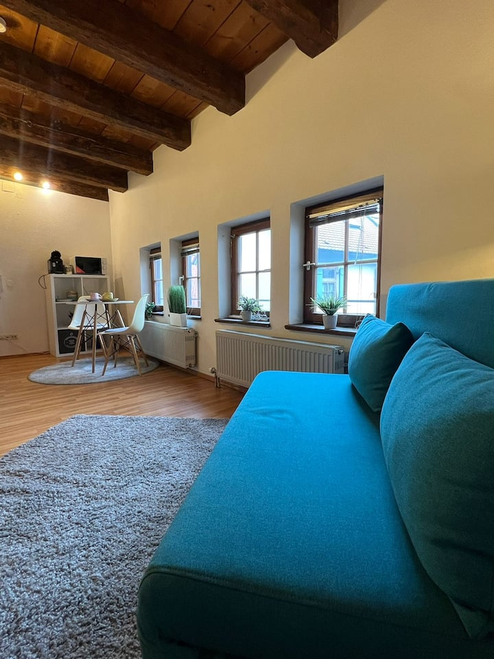 Apartment 6 " Ulmer Spatz" - Neu-Ulm