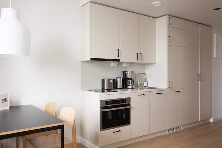 Spacious Studio By The Train Station - Helsinki