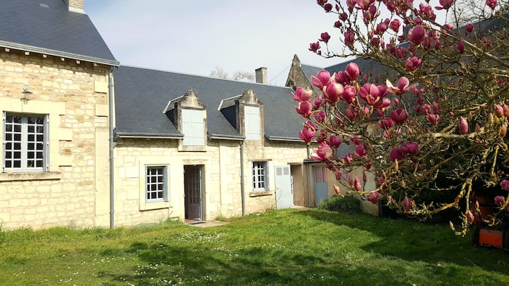Chambre à La Ferme Des Sauges De Huismes - Chinon