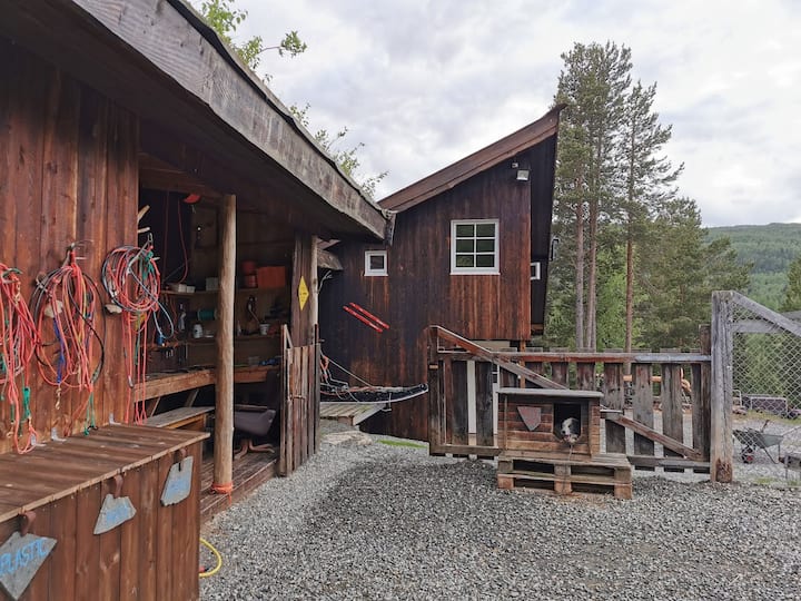 Alta Canyon And Husky Camp - Alta