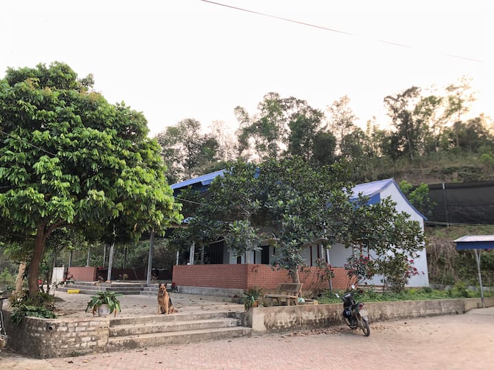 Welcome To Hua Pe Farmstay - Tỉnh Điện Biên
