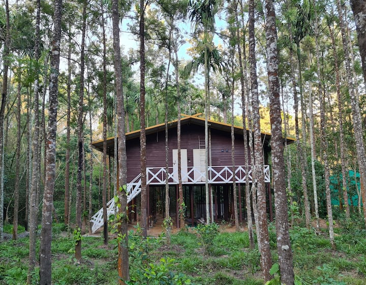 Treehouse For 2 -5  @ Masinagudi - Gudalur