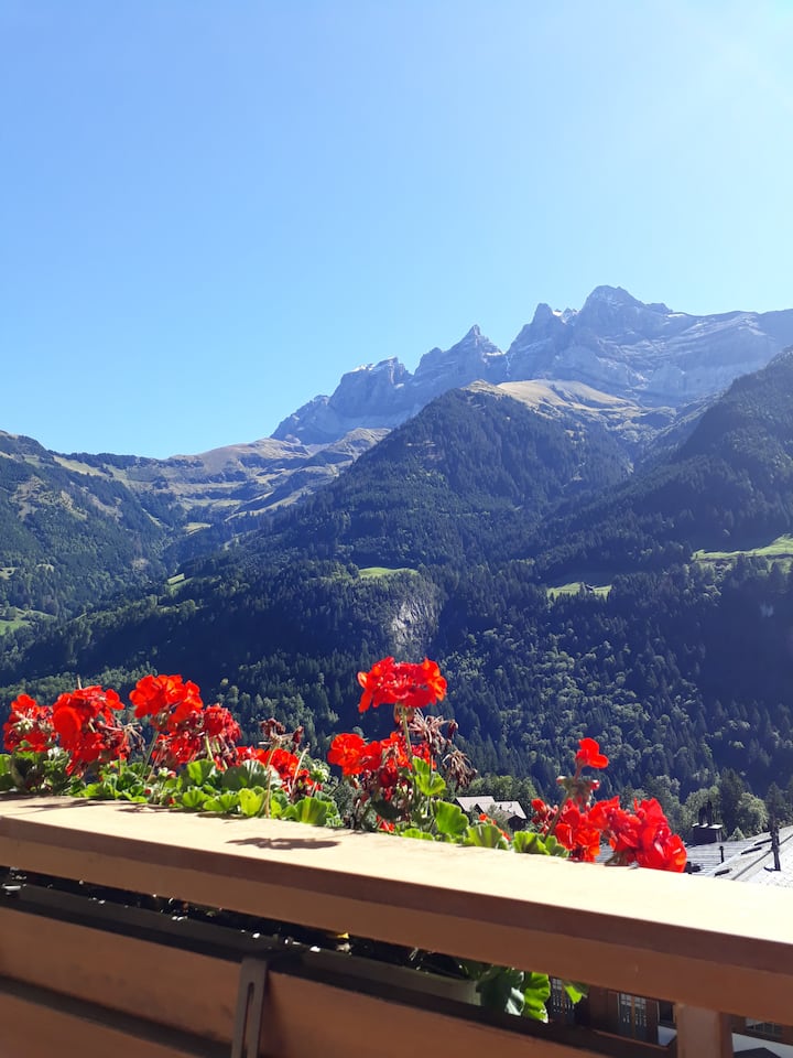 Champéry Centre - 4 Pers (Couple Et 2 Enfants) - Champéry