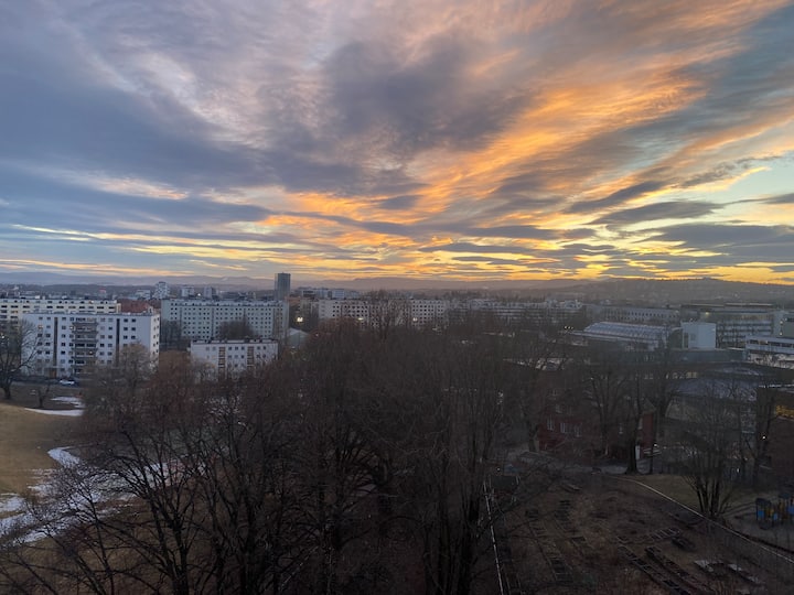 Appartement éLégant Près Du Centre D'oslo Ouest - Oslo