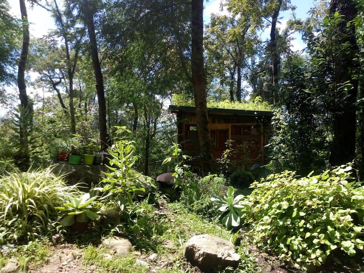 Casa Nuez Cabaña  Bosque Nativo - Jujuy