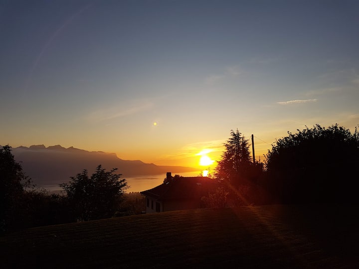 Au1807 - Montreux