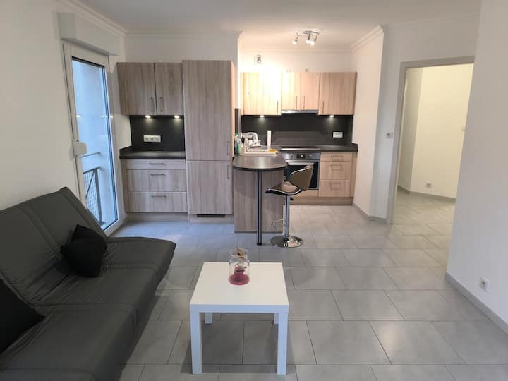 2 Pièces 50m² Confortable Prox Suisse-basel 15 Min - Bartenheim