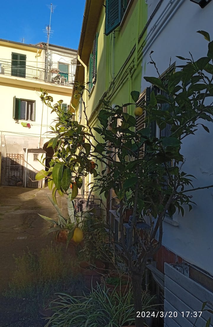 La Casa Di Cali - Pisa