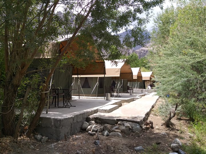 A202 In Nubra Valley - Nubra Valley