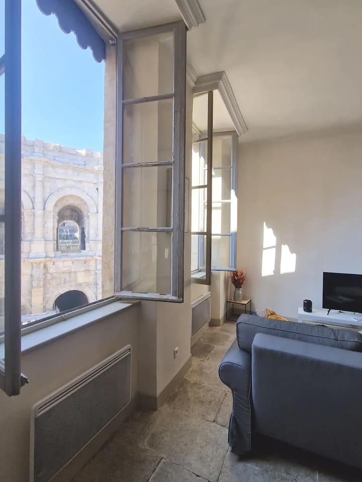 L'appartement Des Arènes - Nîmes - Nîmes