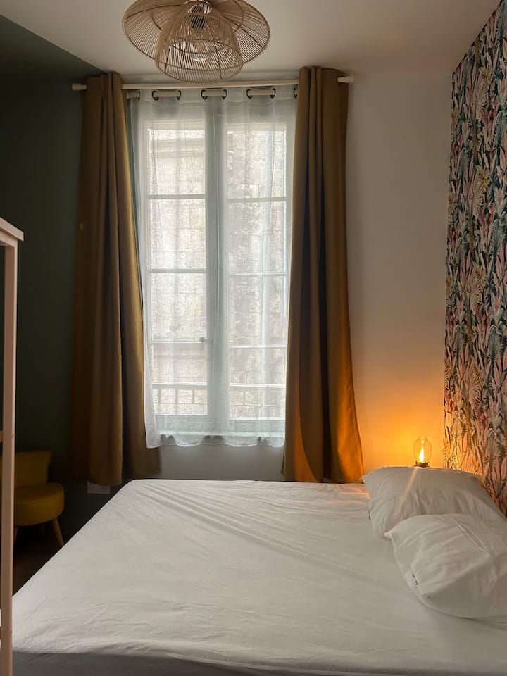 Le Limo: Logement Cosy En Hyper Centre - Périgueux