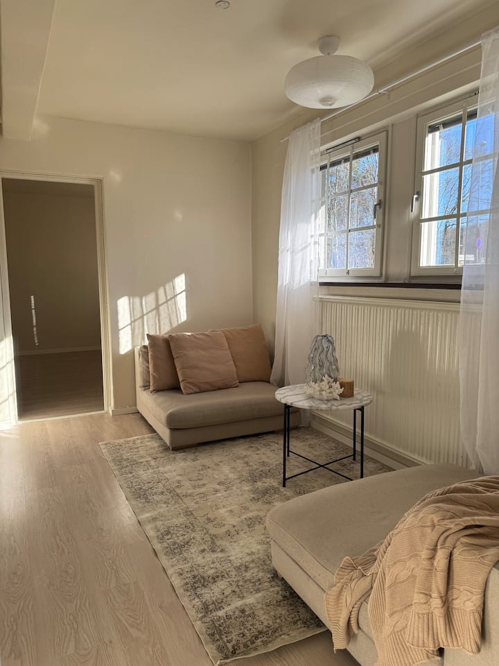 Cozy, Spacious Apartment - Stockholm