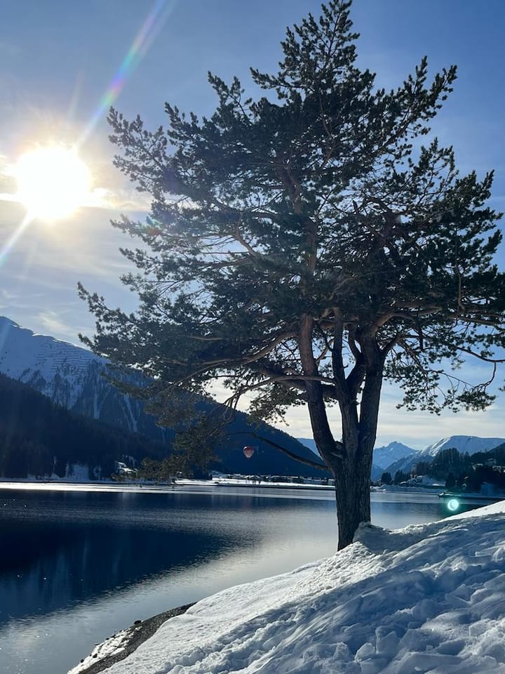 1 1/2 Zi. Fewo Am Davoser See - Davos