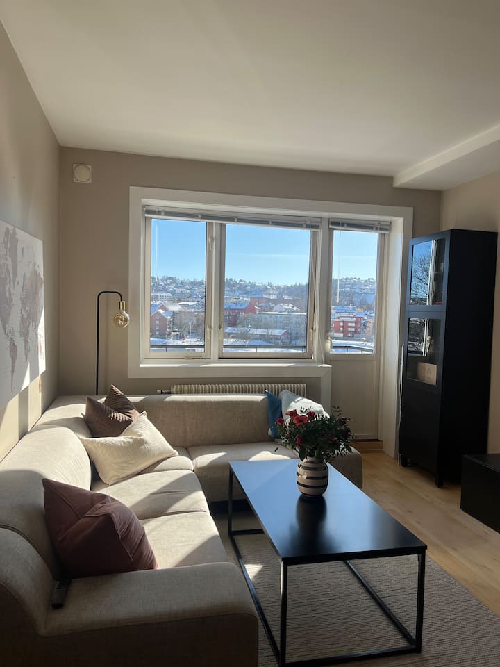 Apartment In Oslo Oldtown - 奧斯陸