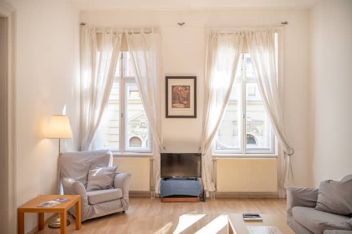 Spacious Comfort In The Center - Budapest