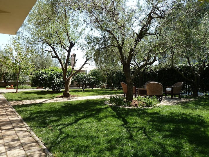 Ideal For Larger Groups - Zadar