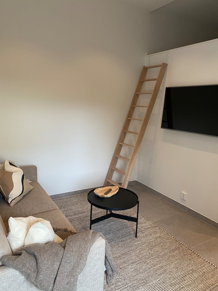 Central Nyrenoverad Lägenhet - Halmstad