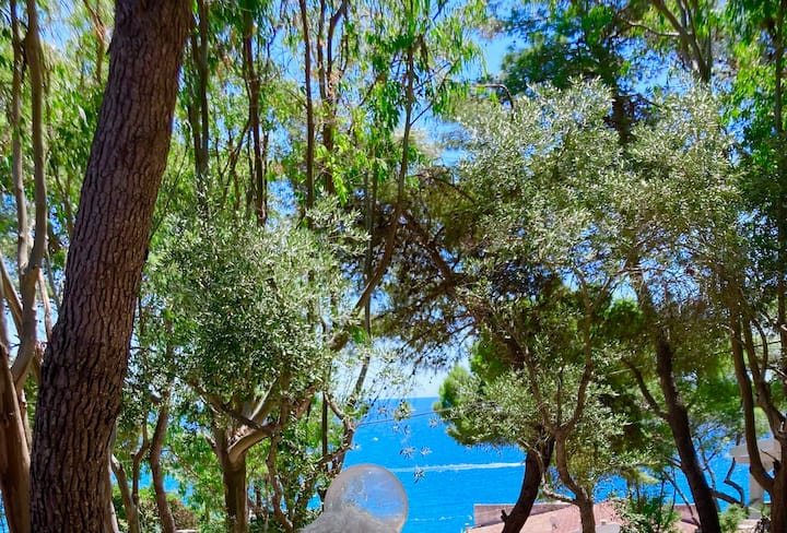 Casa Nel Bosco - Santa Cesarea Terme