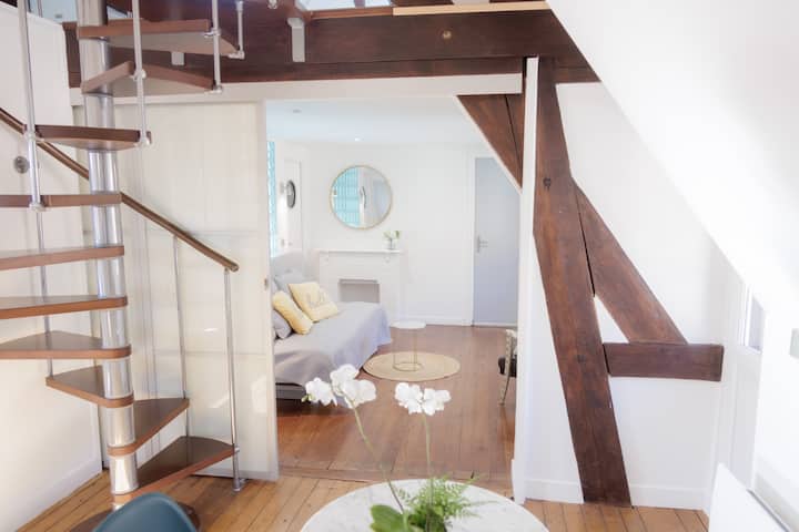 Gîte De Charme Domaine Avec Parc 4 Ha - Saint-Fargeau-Ponthierry