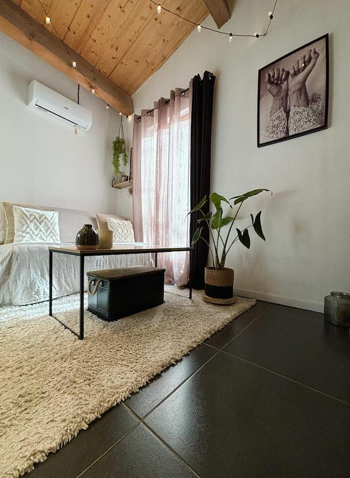 Studio Climatisé Tout Confort. - Lunel