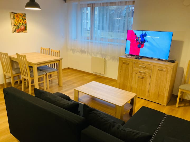 Residence Kotel - 101 Apartmá V Přízemí - Rochlitz an der Iser