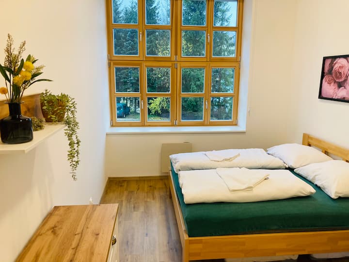 Residence Kotel - 204 Apartmá S Ložnicí A Patrem - Harrachov