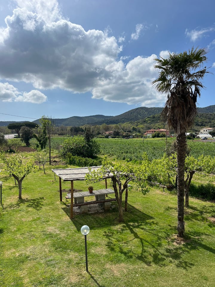 Bilocale Bivio Di Punta Ala - Castiglione della Pescaia
