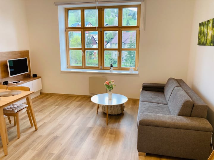 Residence Kotel - 302 Apartmá S Jednou Ložnicí - Harrachov