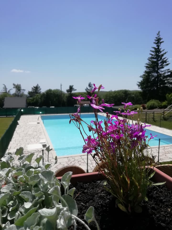 Calme Et Nature - Besse-et-Saint-Anastaise