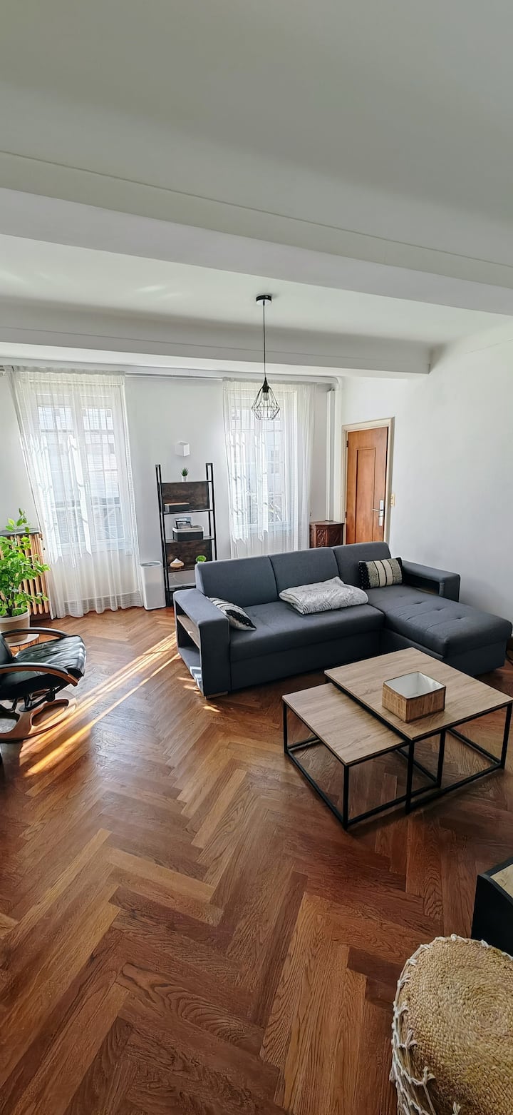 Maison De Ville Avec Véranda Et Jardin - Albi