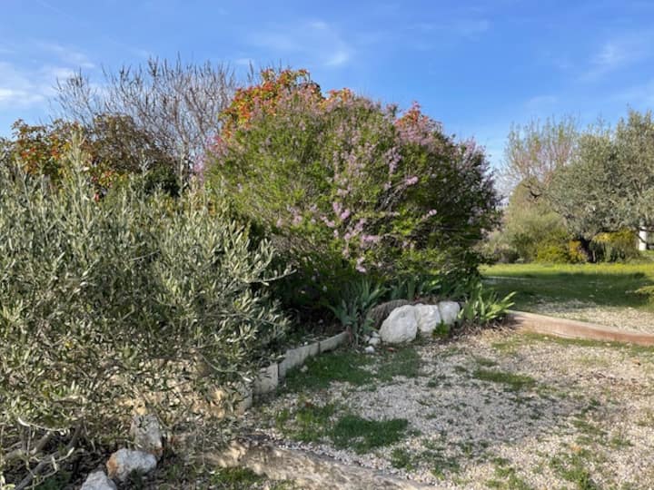 Chaleureux Mas Provençal - Cucuron