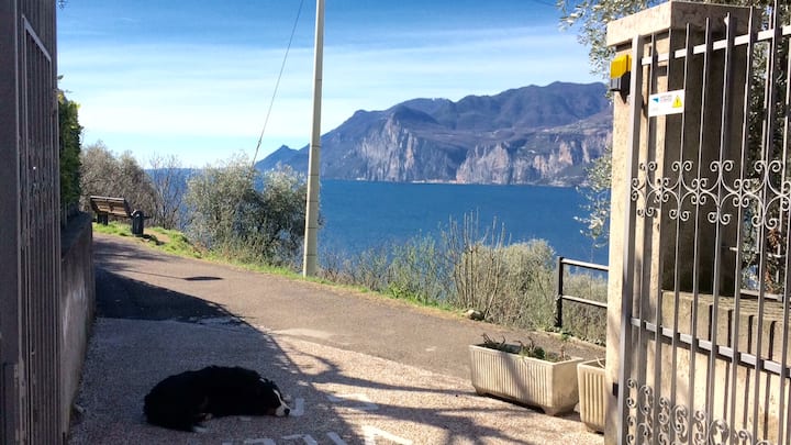 Villa Gaia 2 Raum Zimmer Erdgeschoss - Malcesine