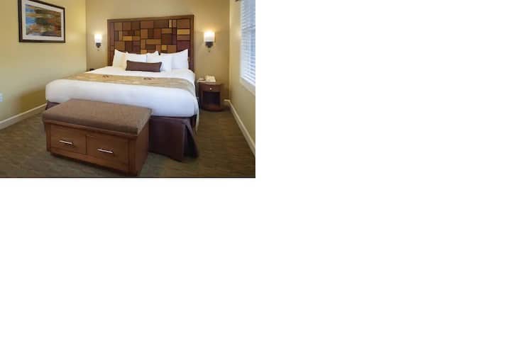 Lake Geneva Resort 1 Bedroom - Lake Geneva, WI