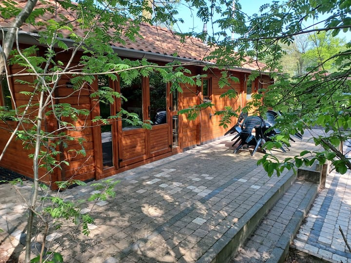 Gezellig Houten Huisje Eperwoud Op De Veluwe - Epe