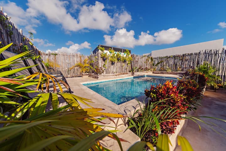 High End Apt. Near The 5th Av. W/roof & Pool - Playa del Carmen