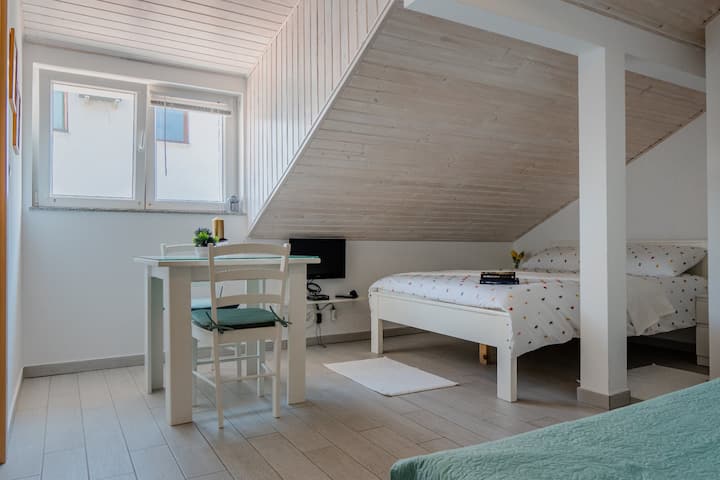 Apartment Liović (For 2 Persons) - Vir