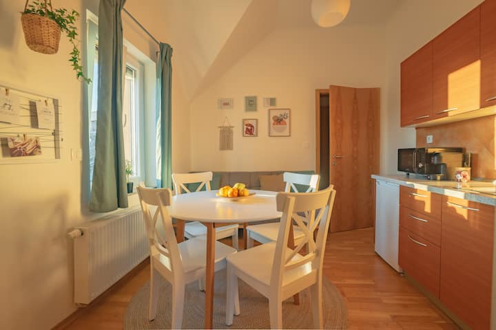 Apartment With Balcony And Free Parking! - Ljubljana