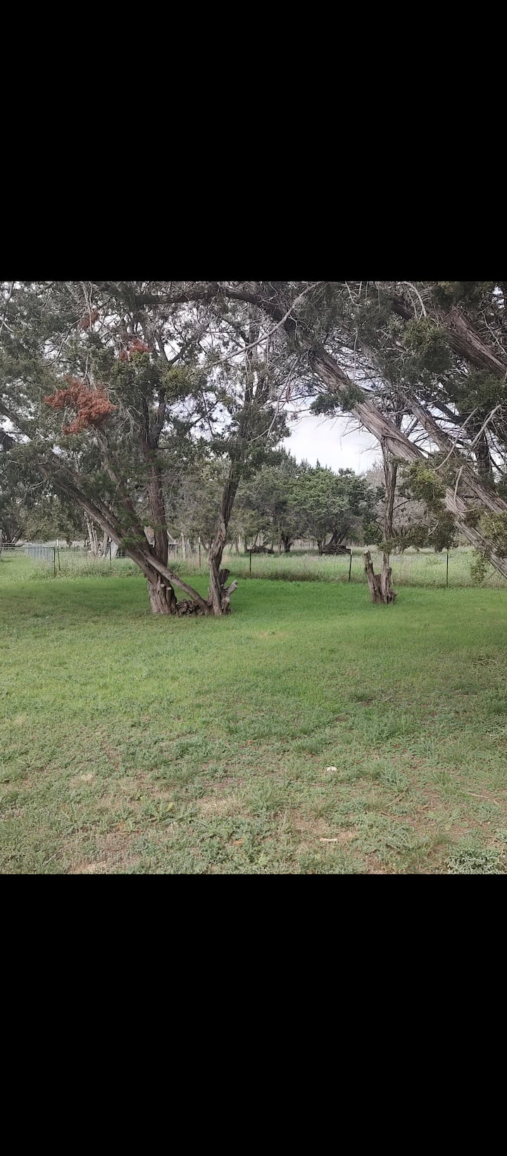 Bandera Camp Spot 3 - Bandera, TX