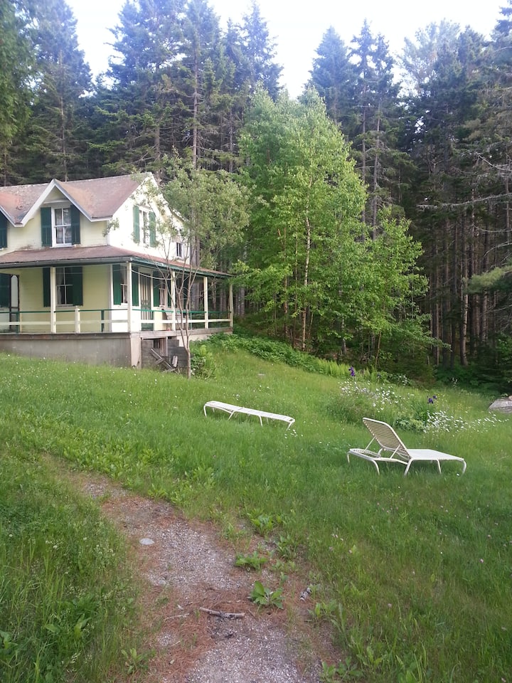 Delano Cove Cabin: By Ocean&lake - Forest Lake, Friendship