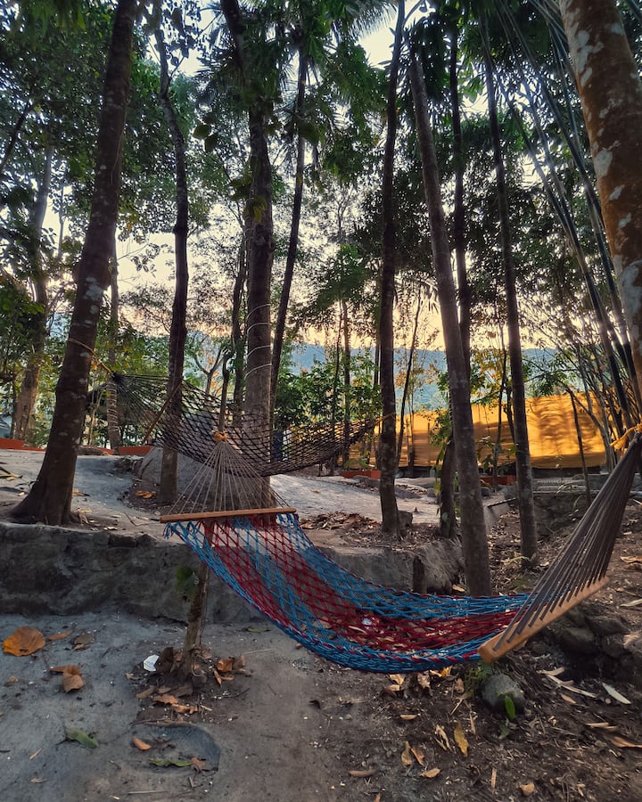 Nellimalam Retreat - Kerala