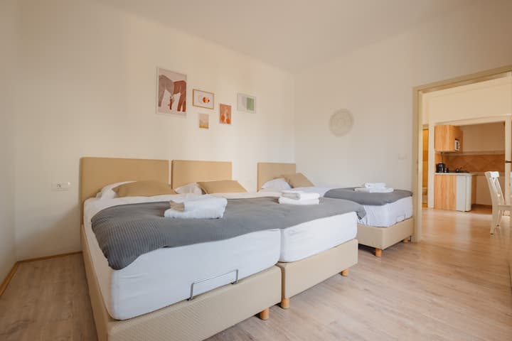 Apartment With Free Parking! - Ljubljana