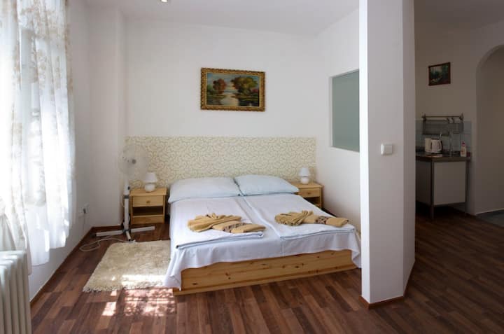 Residence Konvi - Praga