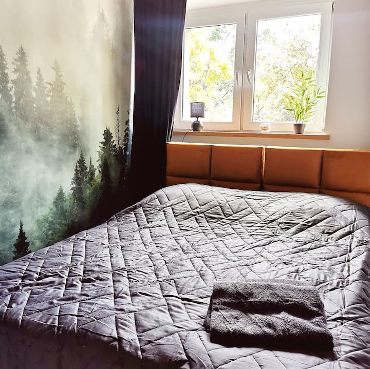 Apartament Miedziany - Katowice