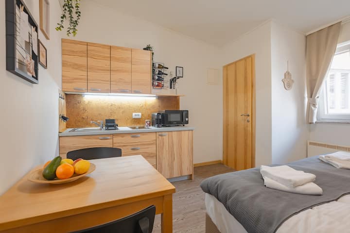 Studio With Free Parking - Ljubljana