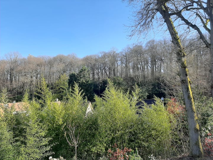 Fully Renovated House - Poissy