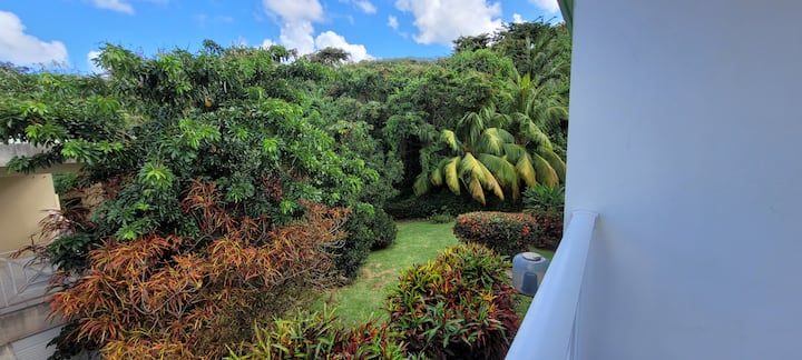 Bulle D'oxygène - Les Anses-d'Arlet