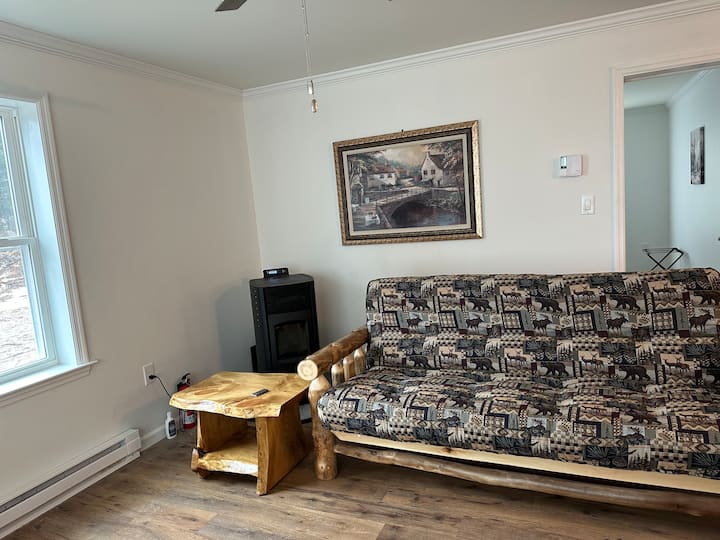 Cozy Adirondack Retreat With Stunning Views - Carousel, Redford