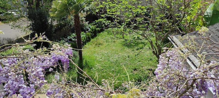 Le Logis Des Arènes : Appt "Les Lilas" - Le Mans