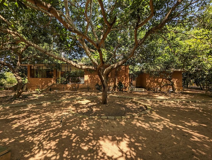 Room In A Villa Set In Mango Orchard In Chettinad - Karaikudi